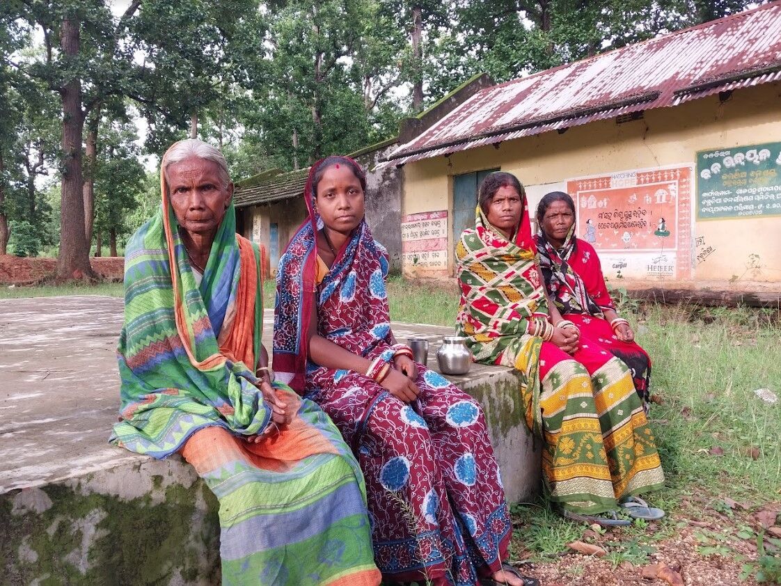 Daughters Of The Forest