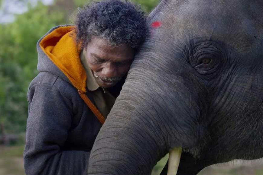 The Elephant Whisperers States The Raw Truth