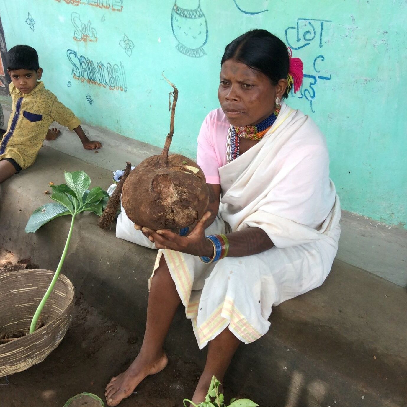 Forest Foods Can Boost Nutrition In Tribal Areas