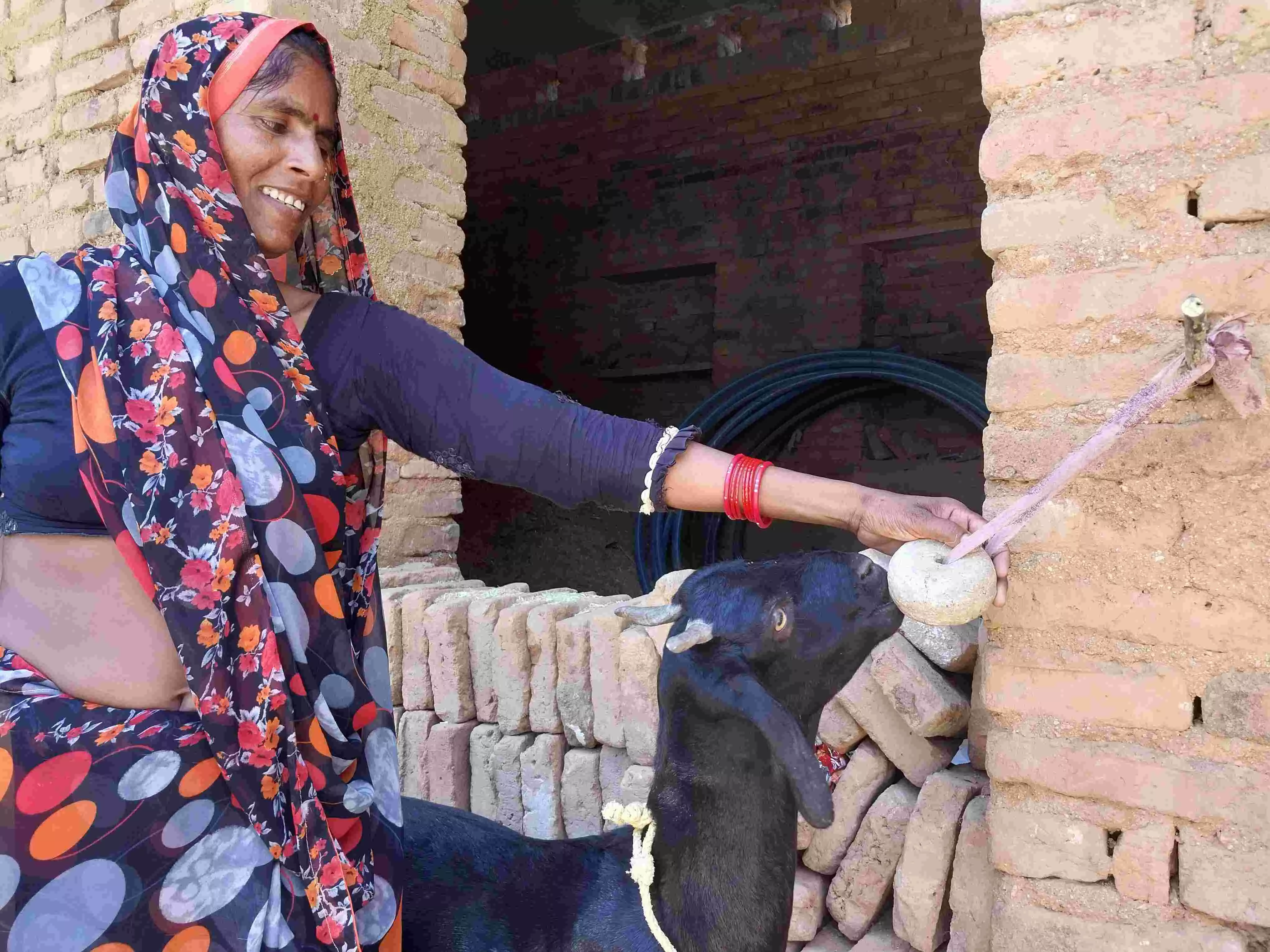 Meet Pashu Sakhis, The Goat’s Best Buddy