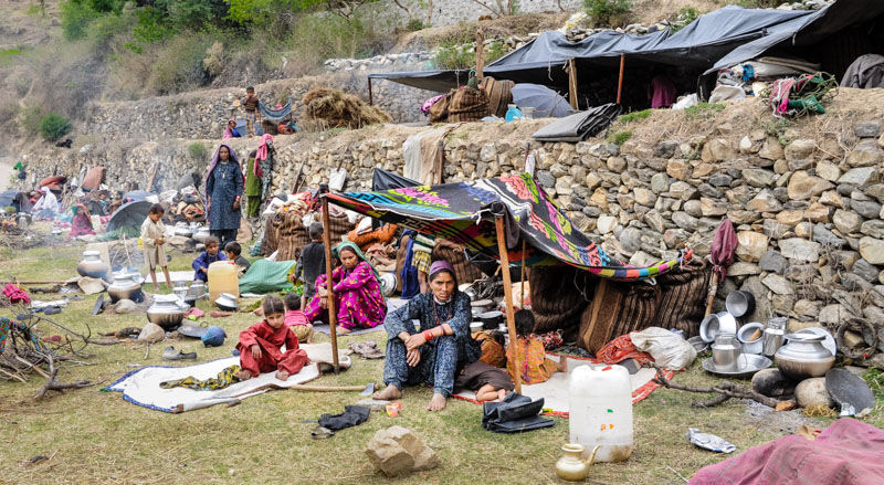 Why Has Development Not Reached The Van Raji Tribe?