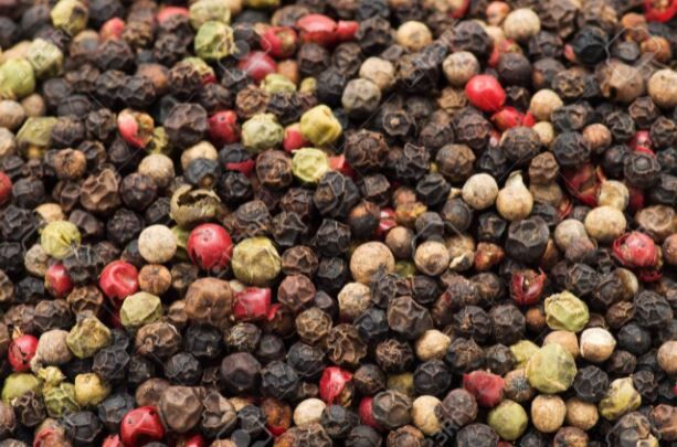 Journey to the Origin of Black Pepper