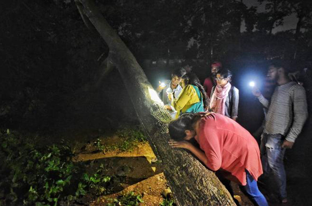 The Real Story Behind The Aarey Tree Felling