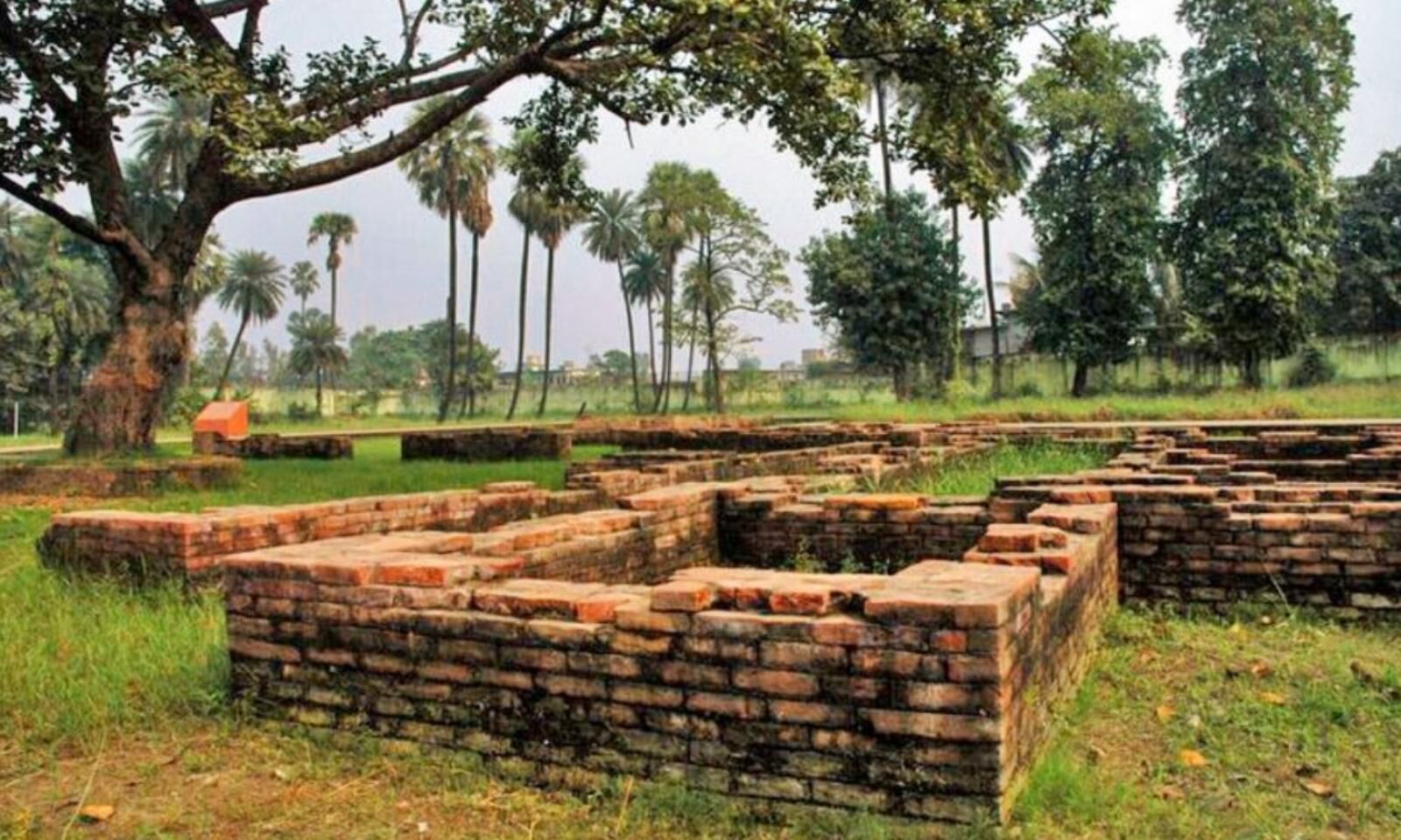 Chandragupta Maurya Family Tree